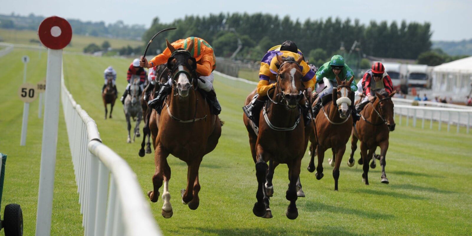 Horse Racing Mullingar | Equestrian Centre | Bloomfield House Hotel