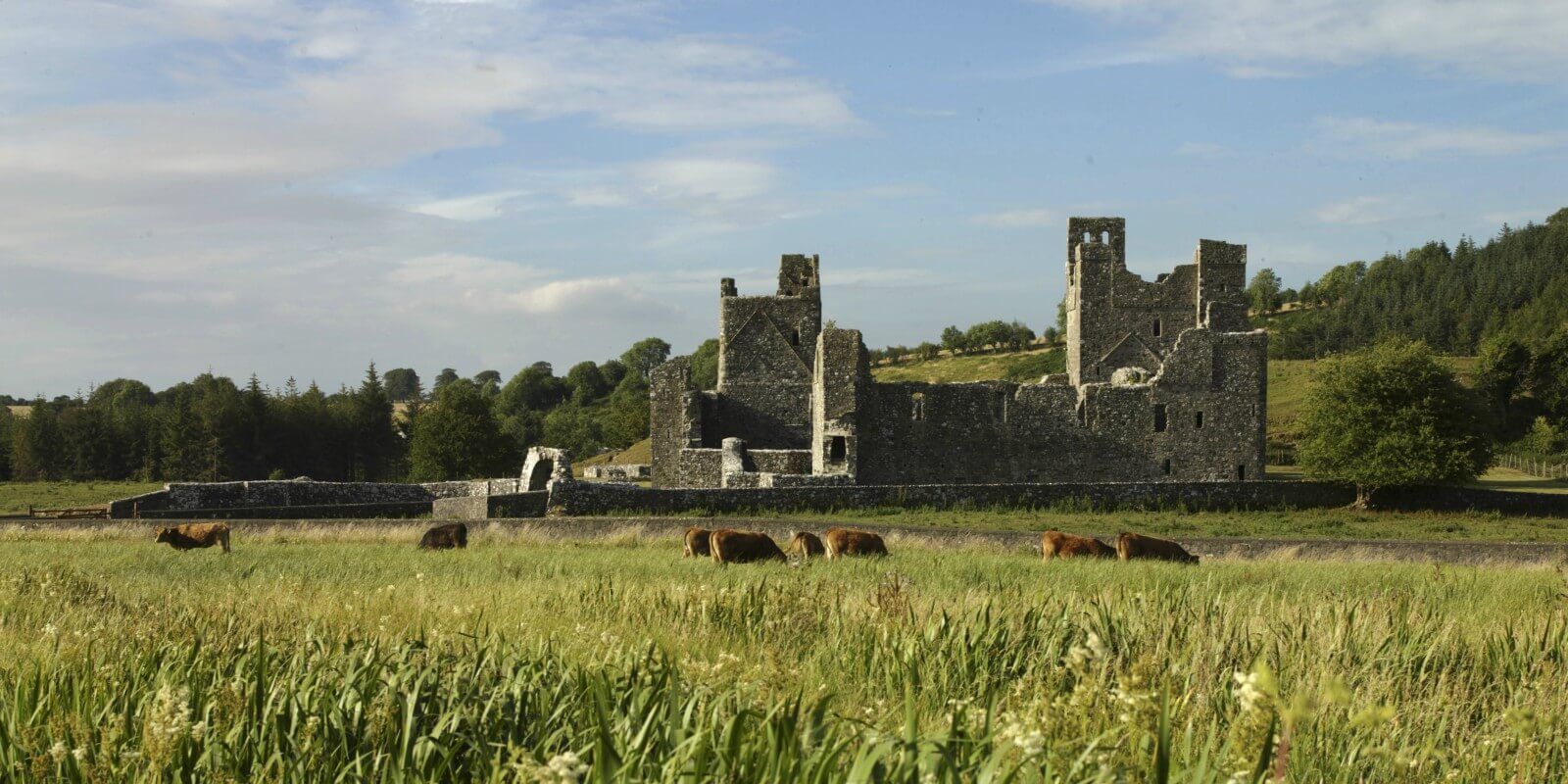 Ancient Sites | Things To Do Mullingar | Bloomfield House Hotel